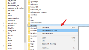 Export a DNS Zone File from cPanel
